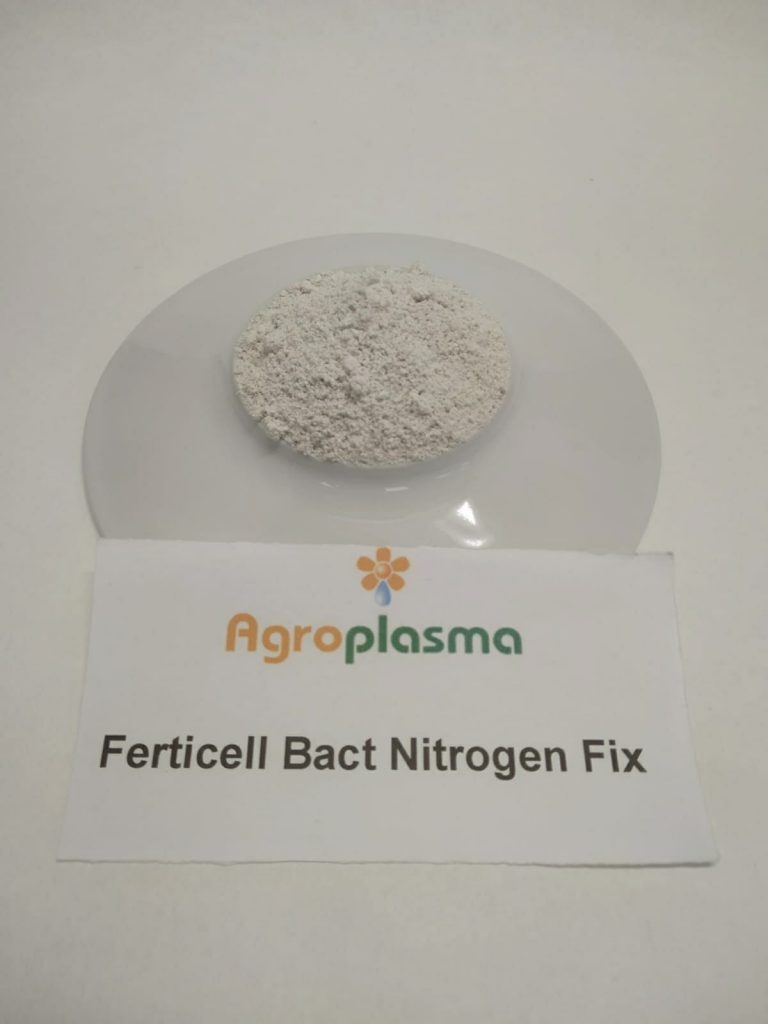 Ferticell Bact Nitrogen Fix – Agroplasma